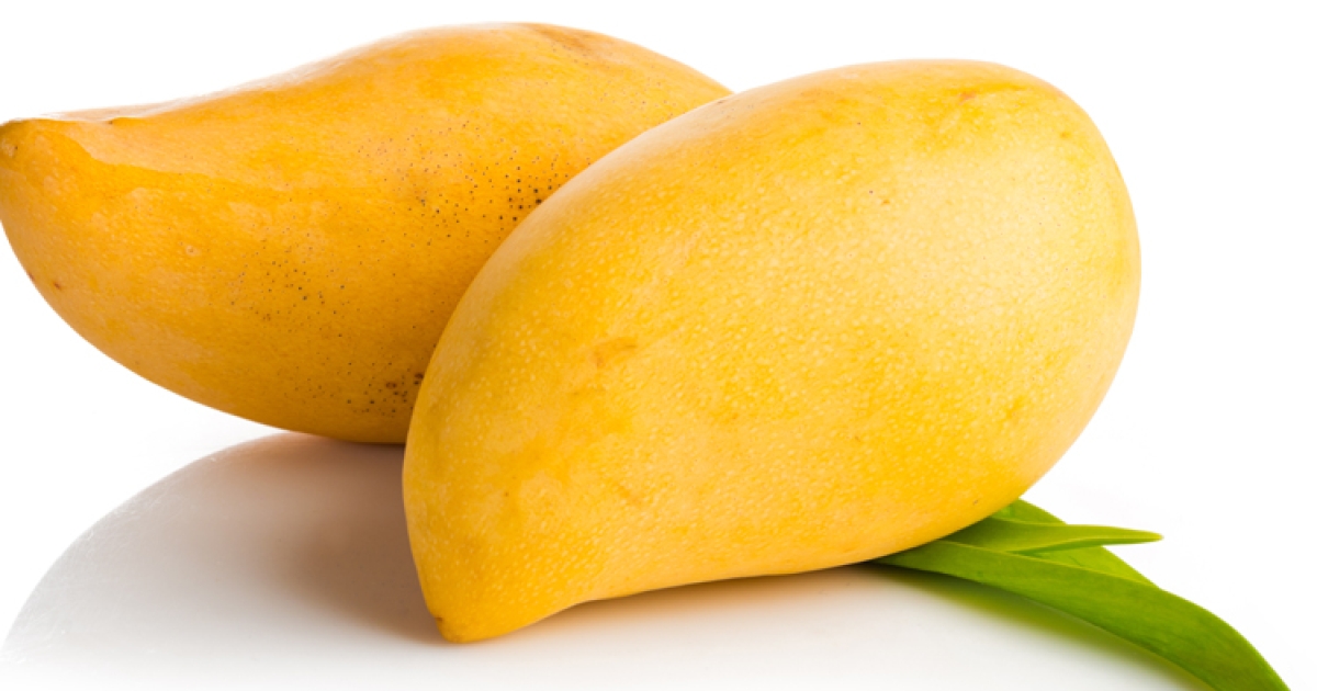 yellow mango