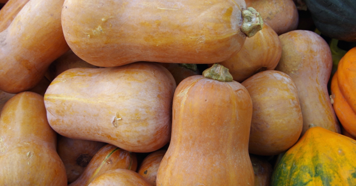 Food Find: Honeynut squash | Center for Science in the Public Interest