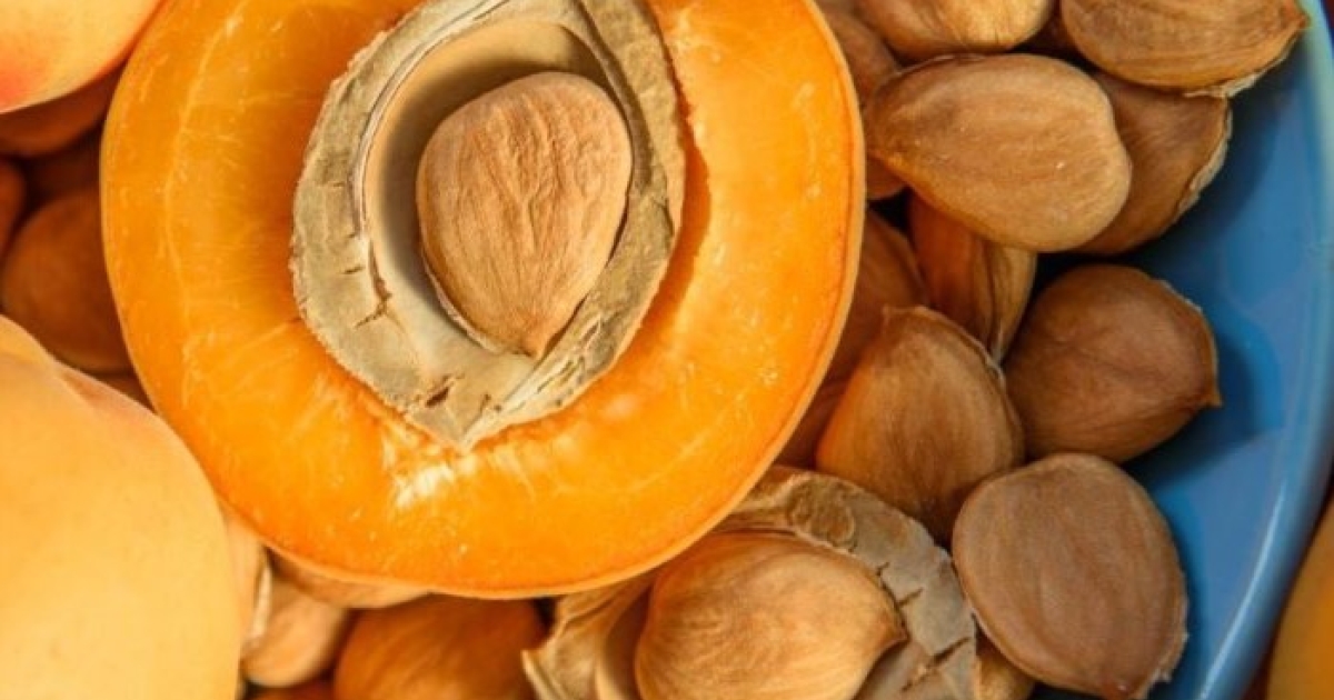 FDA warning: Apricot seeds may cause cyanide poisoning | Center for Science in the Public Interest